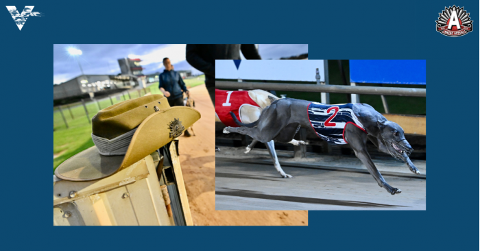 Greyhound Racing Victoria | The Best Greyhound Racing News, Form ...