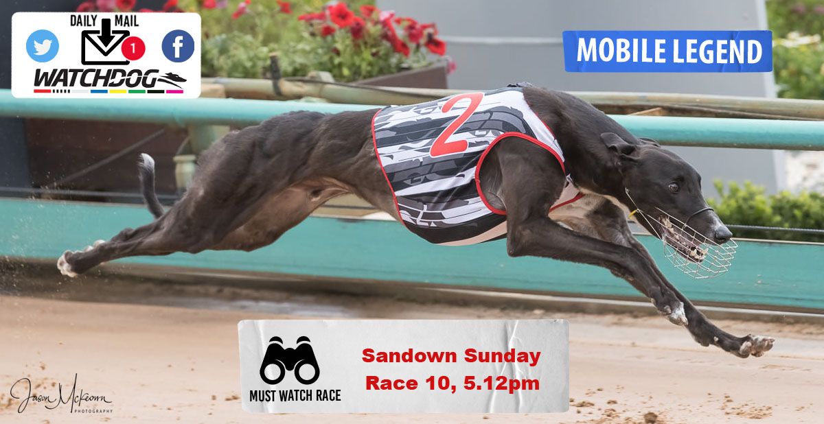 The Watchdog's Daily Mail