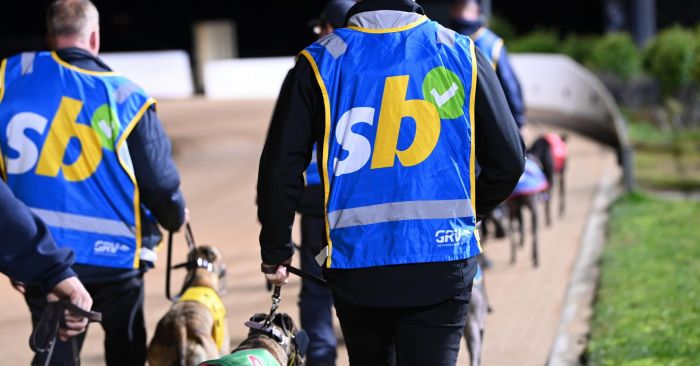Greyhound Racing Victoria | The Best Greyhound Racing News, Form ...