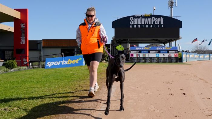 Greyhound Racing Victoria | The Best Greyhound Racing News, Form ...