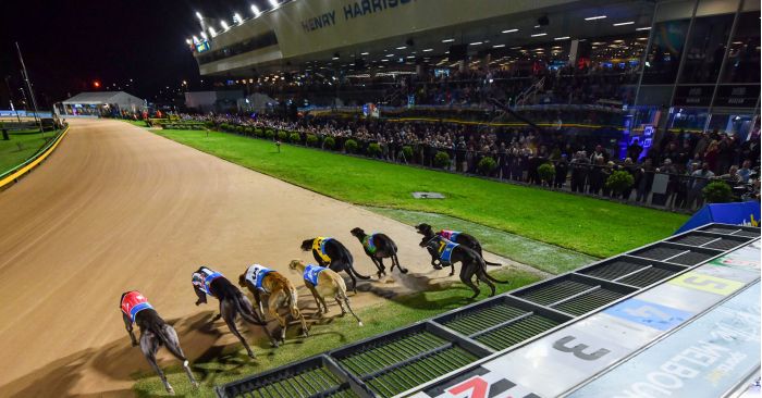 Greyhound Racing Victoria | The Best Greyhound Racing News, Form ...