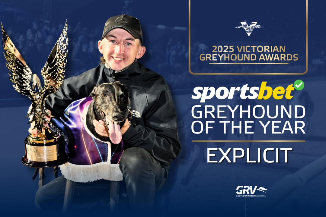 Explicit crowned Victorian Greyhound of the Year