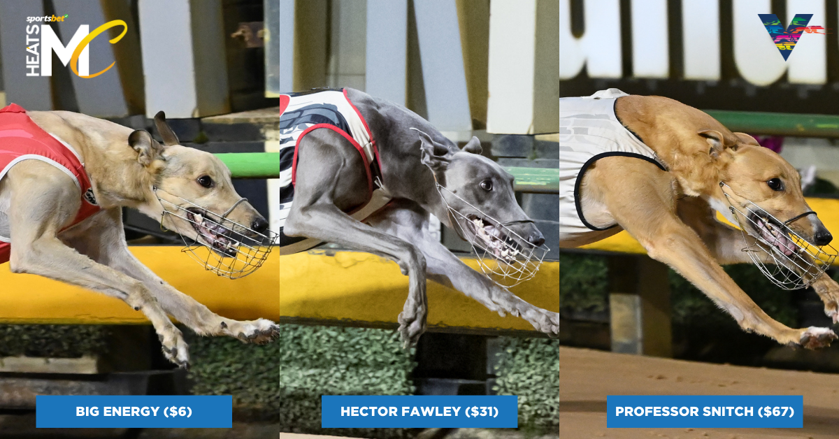 THE STIR UP | MELBOURNE CUP ‘ALL IN’ MARKET