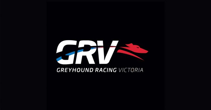 Greyhound Racing Victoria | The Best Greyhound Racing News, Form ...