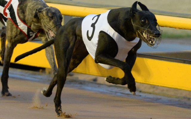 Records Continue To Fall | GRV