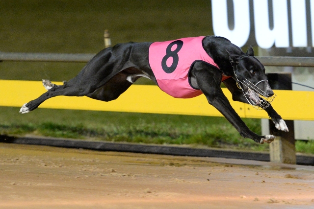 Keybow the One to Beat | GRV