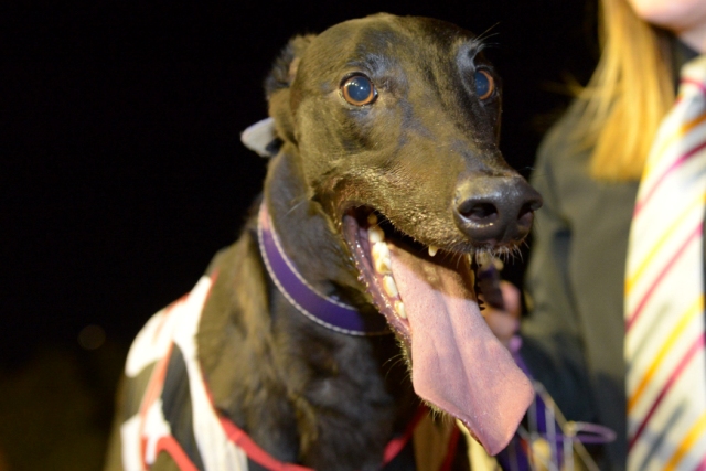 Fabulous Fabio Wins Second Group 1 | GRV