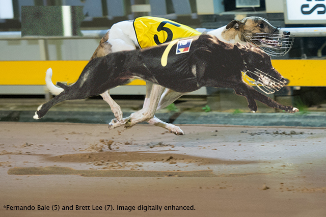 The Best Since Brett Lee – But Is Fernando Better? | GRV