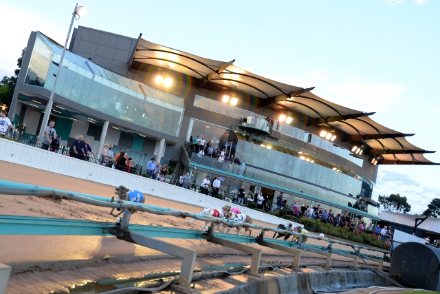 Topcat Video Cup Preview: Shanlyn a Surprise Packet | GRV