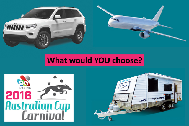 45,000 Reasons to Attend the Australian Cup Carnival at The Meadows | GRV