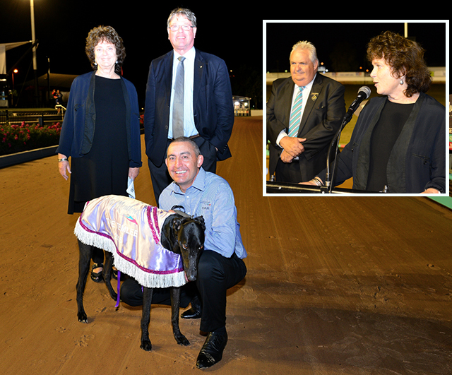 Greyhounds at the Forefront | GRV