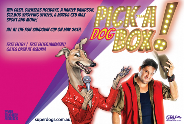 VIDEO: ‘Fev’ running the show at RSN Sandown Cup! | GRV