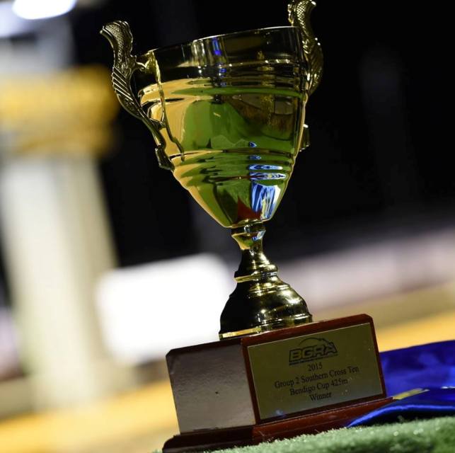 BENDIGO CUP HEATS: Pantera Nera through to second Country Cup | GRV