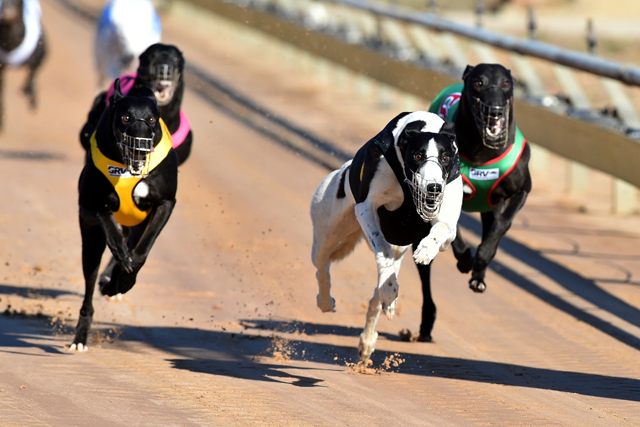 Improving track safety a major priority
