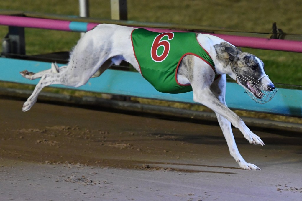 Sam shortens for Sandown Cup