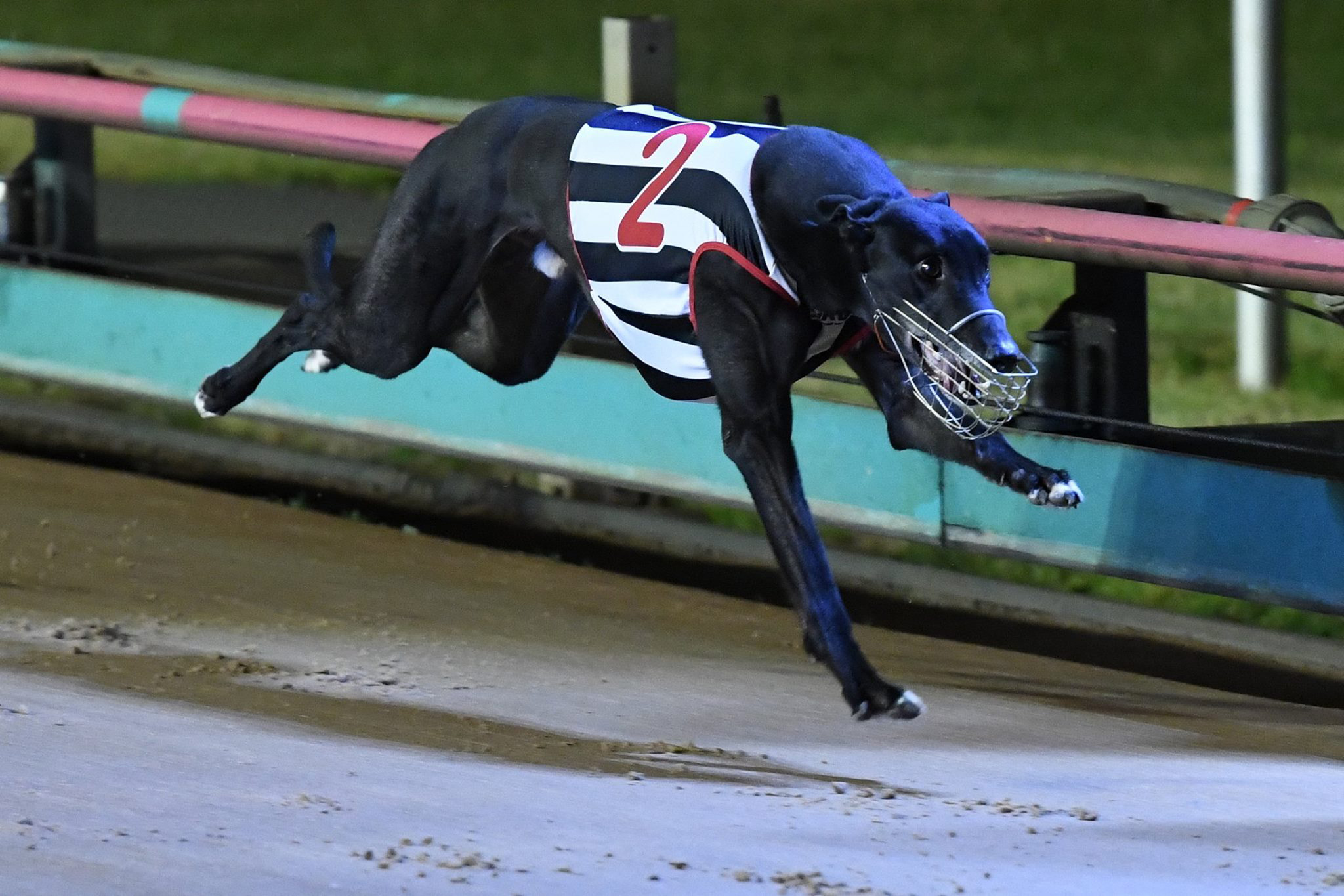 Trail blazer returns with a bang!