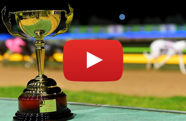 The TAB Melbourne Cup and Bold Trease
