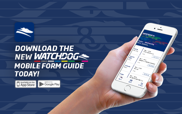 Watchdog Mobile Form Guide