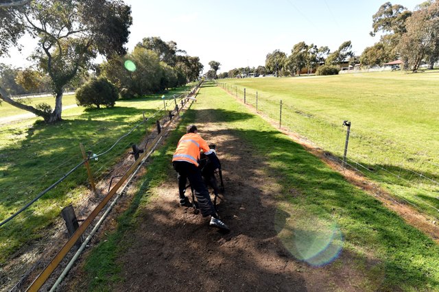 Another successful Coursing season in sight