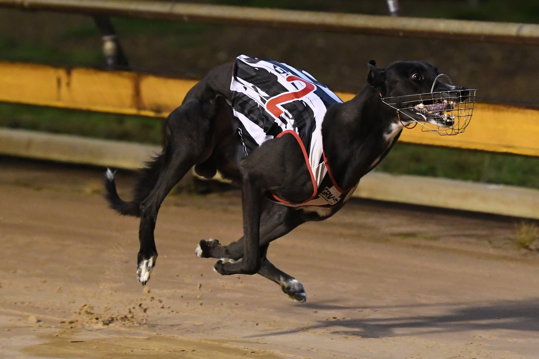 Barry’s bright prospects in city debut