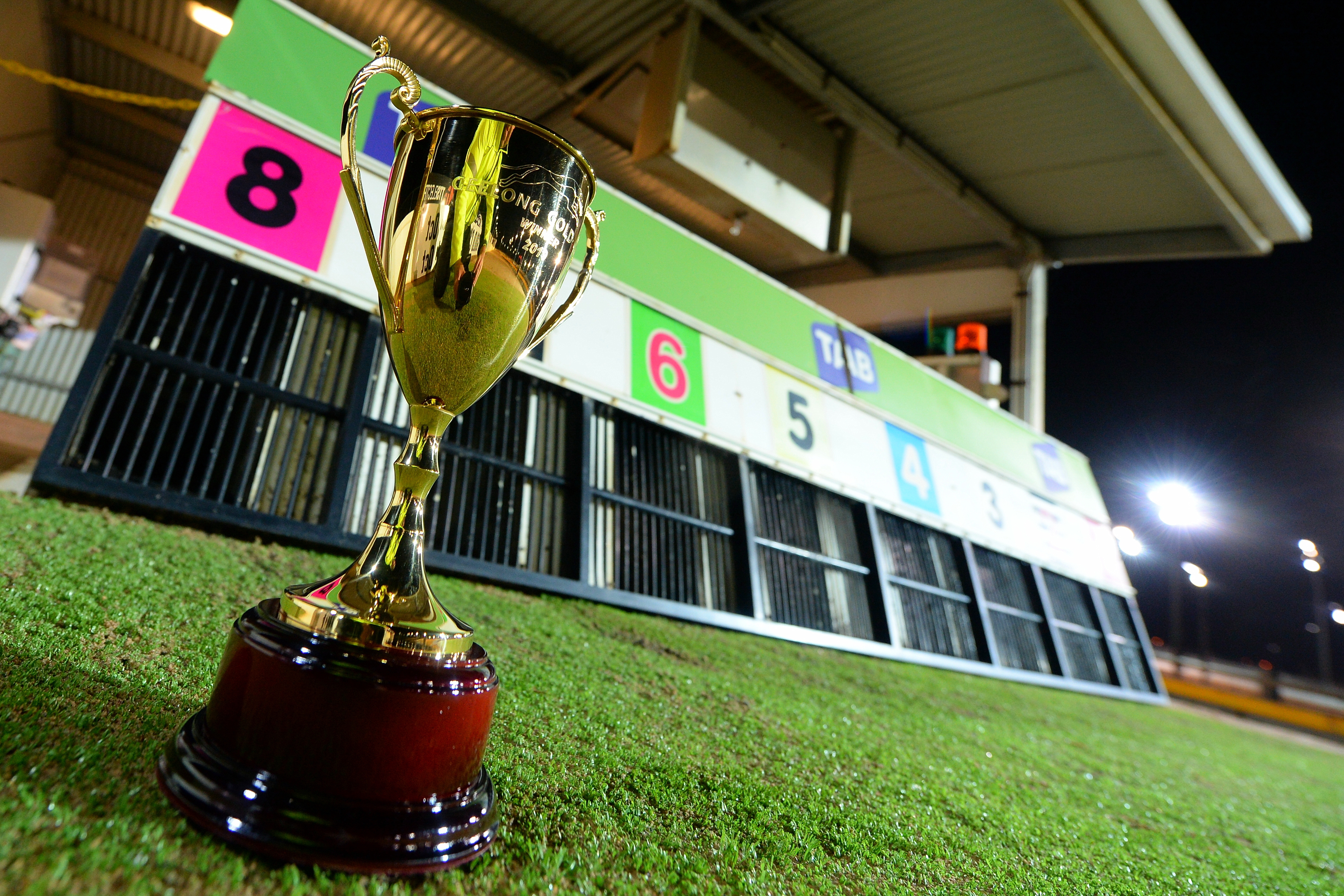 The Inside Word: 2019 Geelong Gold Cup