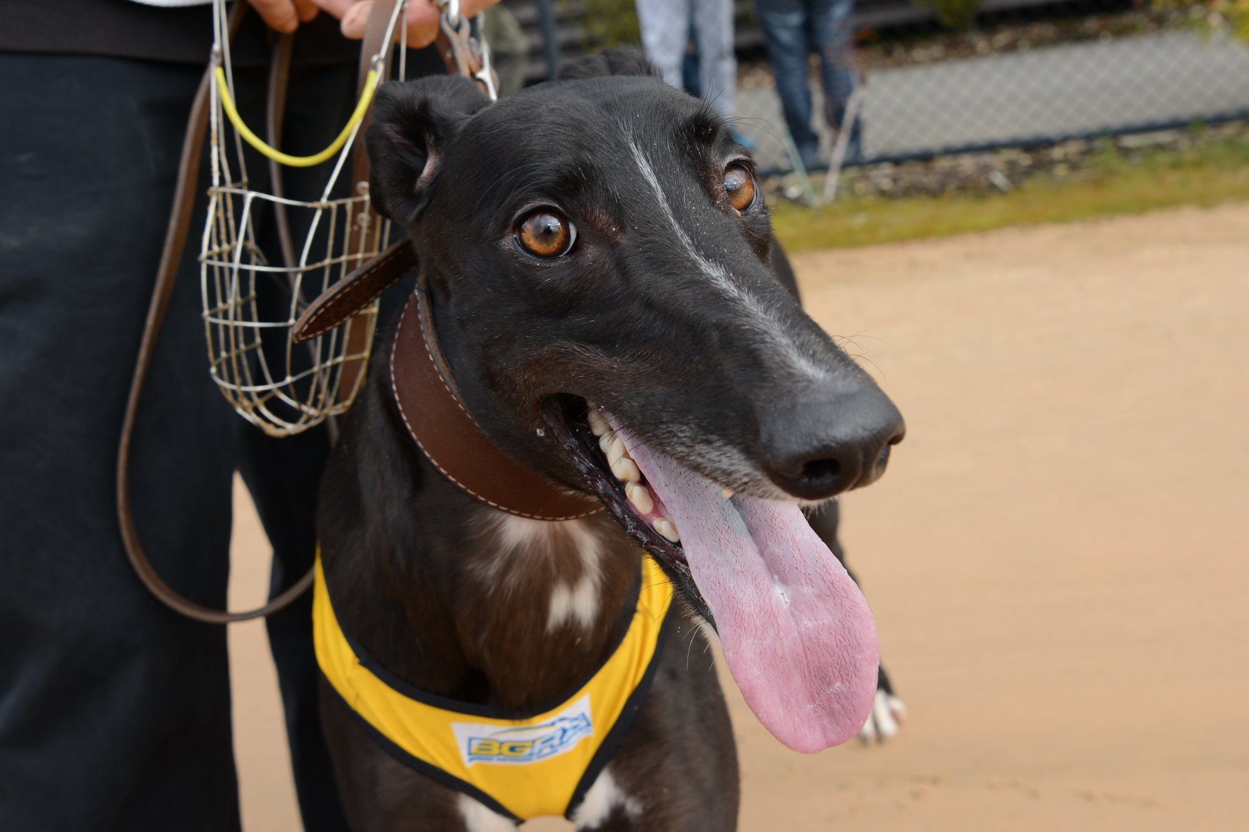 Jebrynah in control of ‘my left foot’