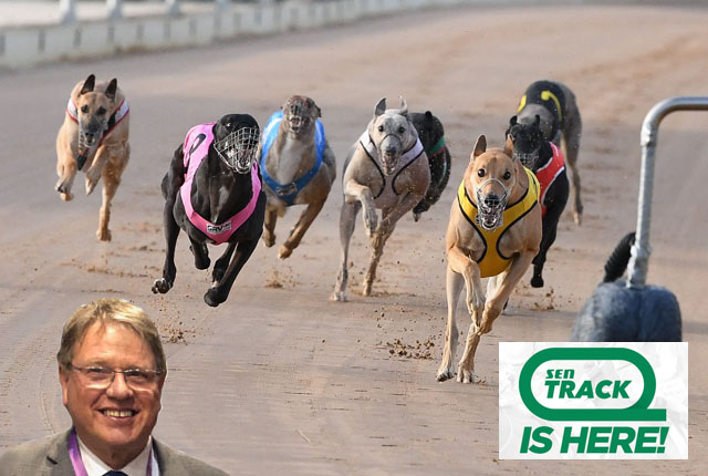 AUDIO: GRV CEO on SEN Track