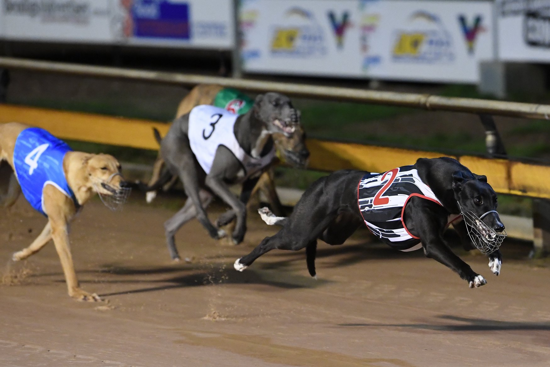 Giveaway Bendigo specialist off the Leash