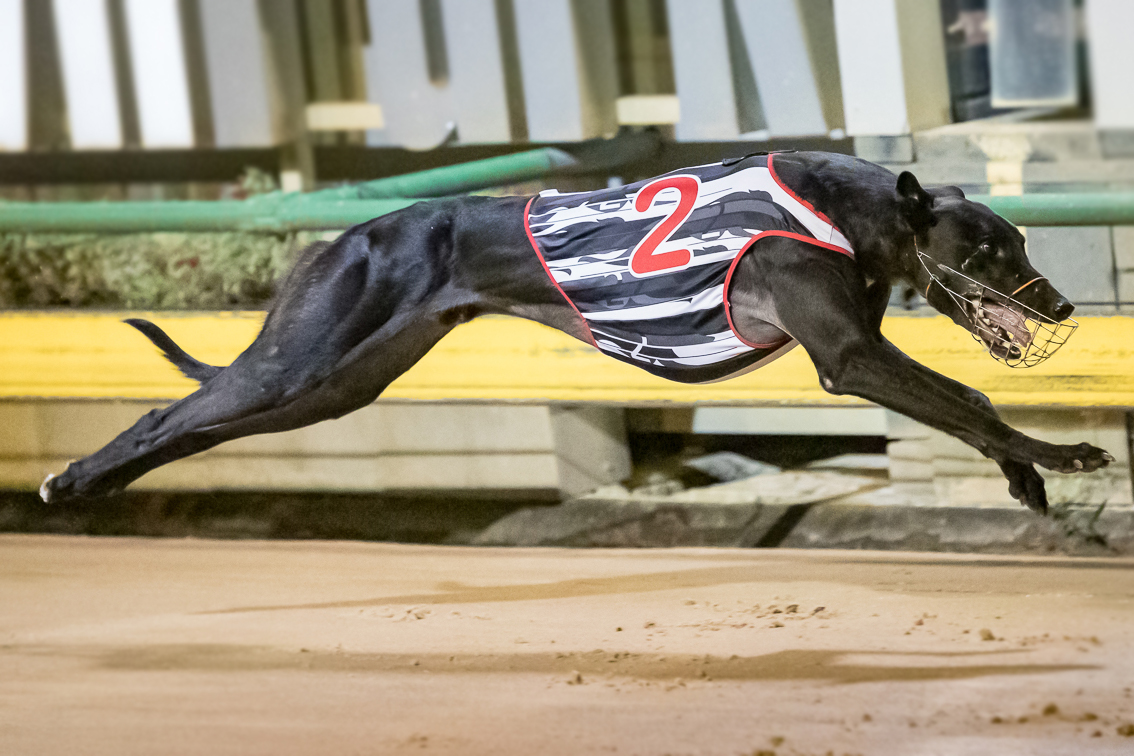 Jim’s ‘dash’ is ‘zarr’ record!