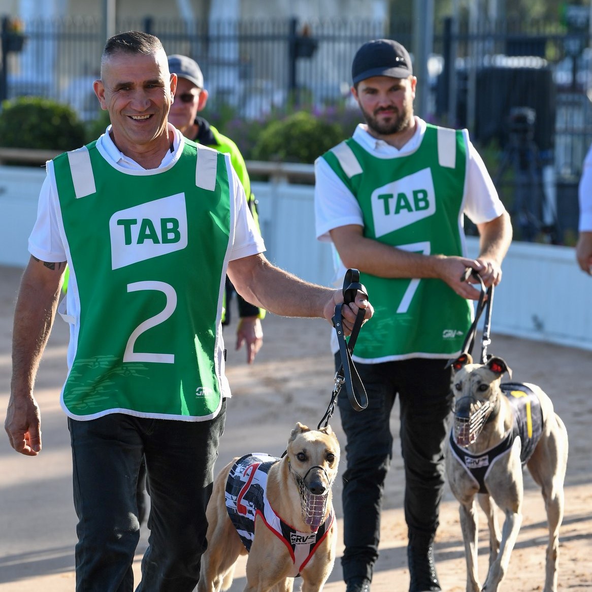 Scatterbox’s ‘spark’ is back