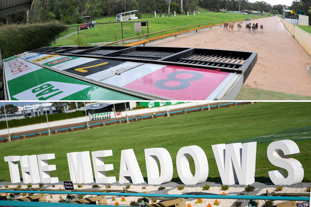 The Meadows joins forces with Healesville as second straight track is ...