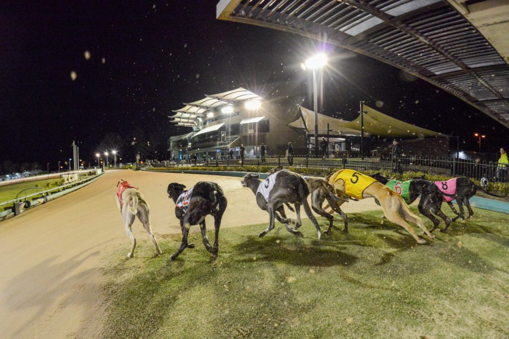 Massive coverage for magical Maturity night