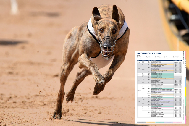 August / September Racing Calendar now available