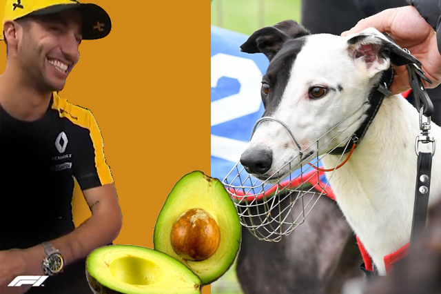 ‘Fast lane’ for Avocado?