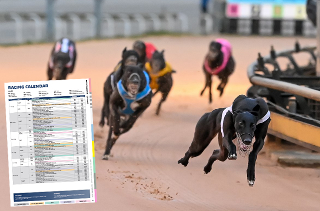 September / October Racing Calendar now available