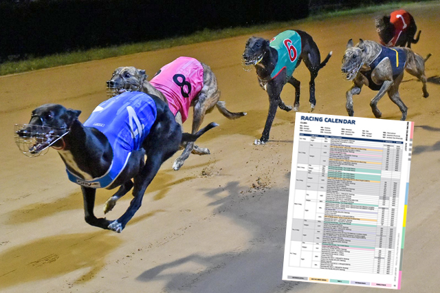 October / November Racing Calendar now available