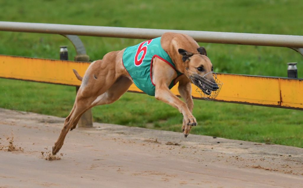 Zipping ‘plans’ for Zarbo