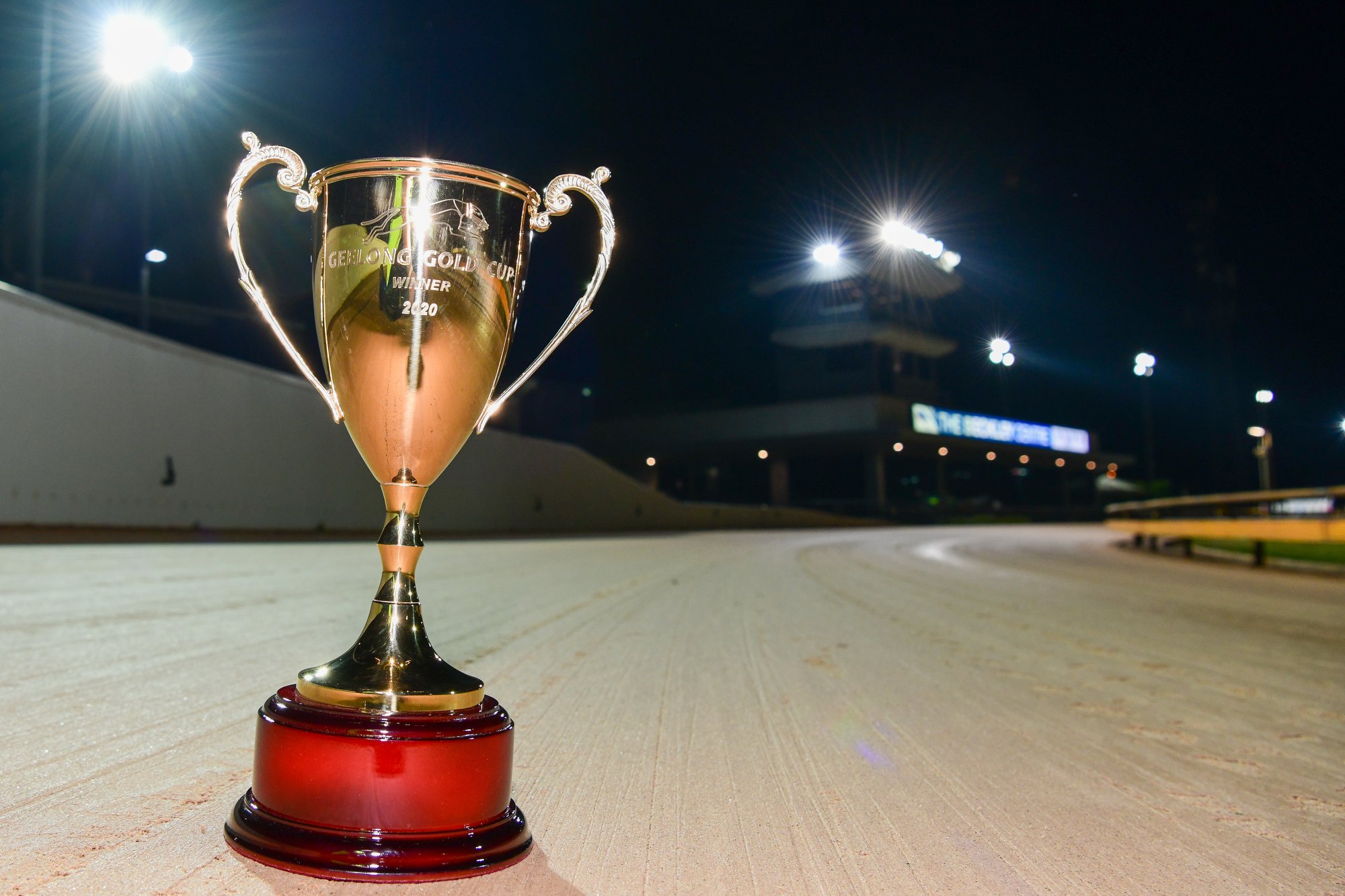 Superstars to shine in Friday night’s Geelong Gold Cup