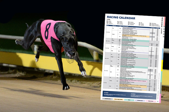 November / December Racing Calendar now available