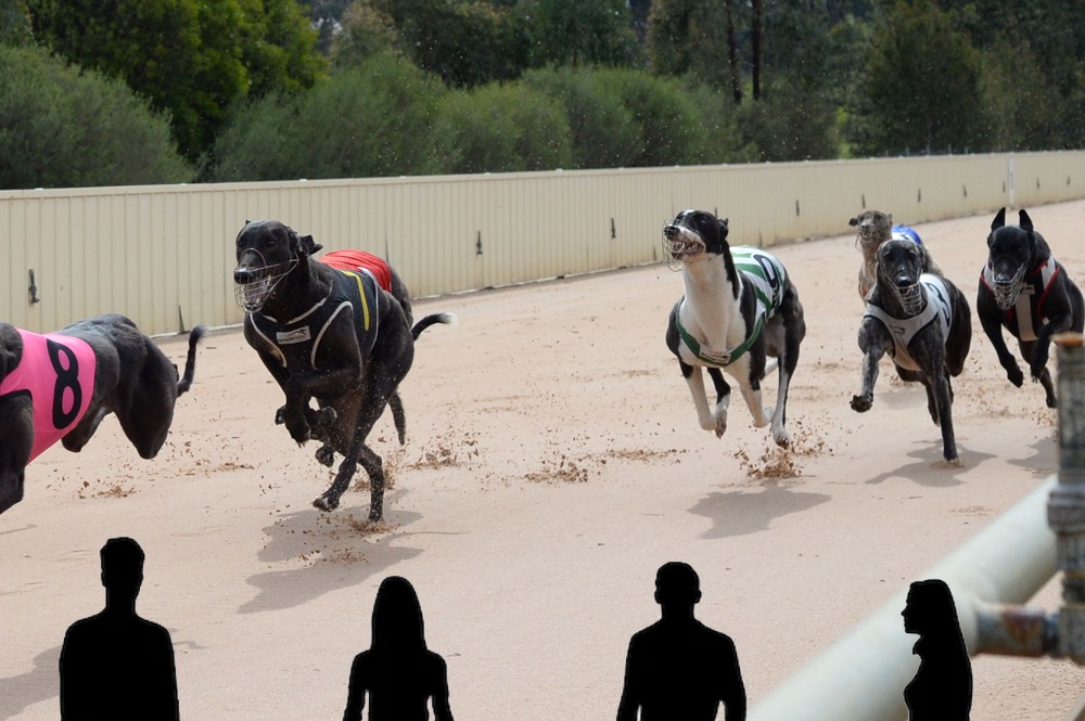 Racing Reference Group: Expressions of interest welcome