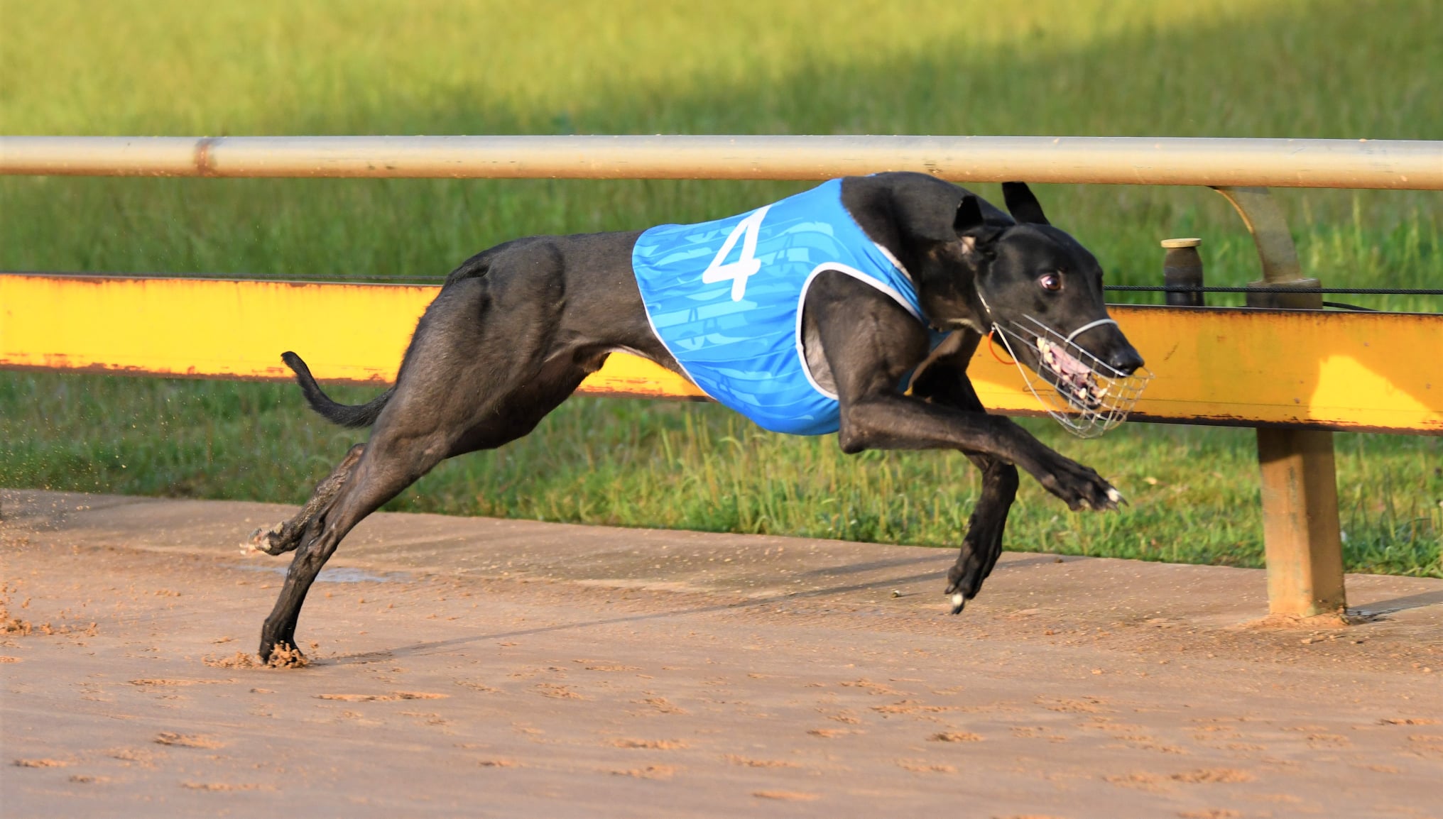 ‘Big Ben’ clocks up Horsham 410m TR