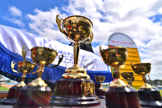 EXCLUSIVE: Every TAB Melbourne Cup finalist’s best and worst box revealed