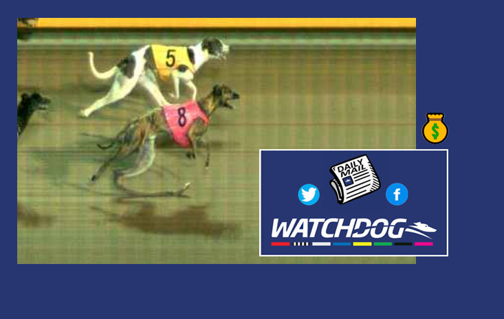 Zevatron delivers thrilling win for the Daily Mail