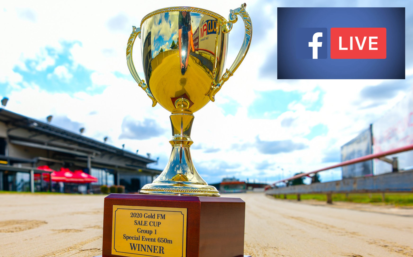 Group 1 Sale Cup to take centre stage on Boxing Day evening