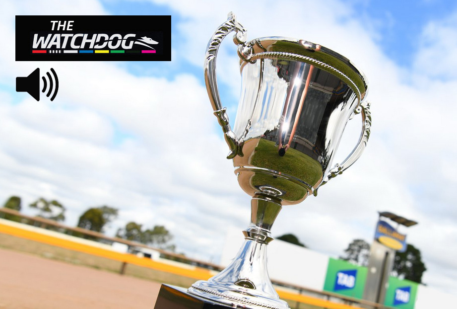 The Watchdog crunches TAB's ‘All In’ Ballarat Cup market