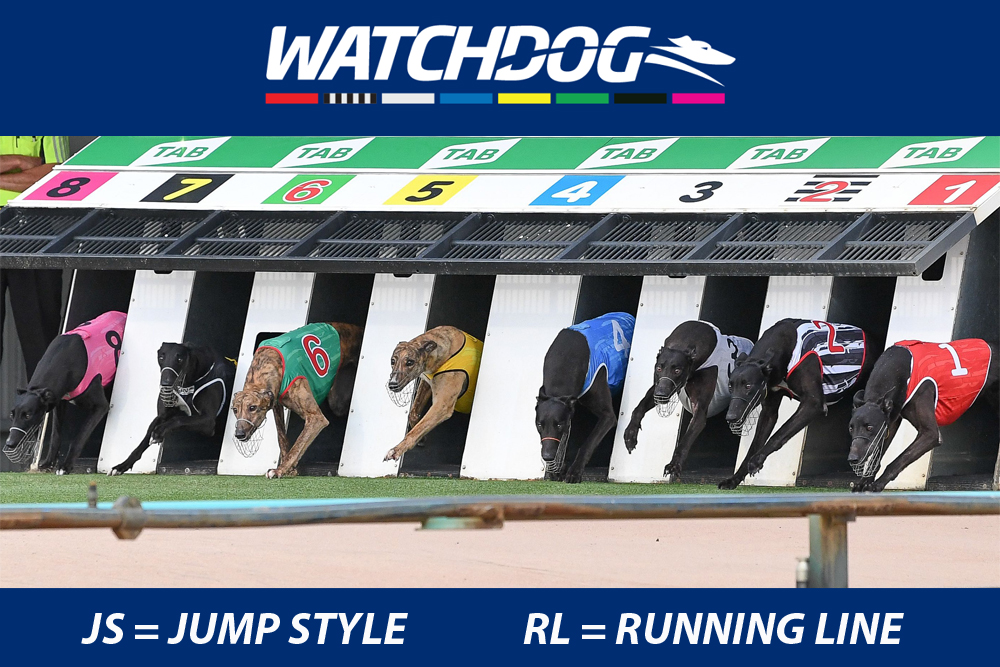 Race patterns revealed giving punters an inside edge