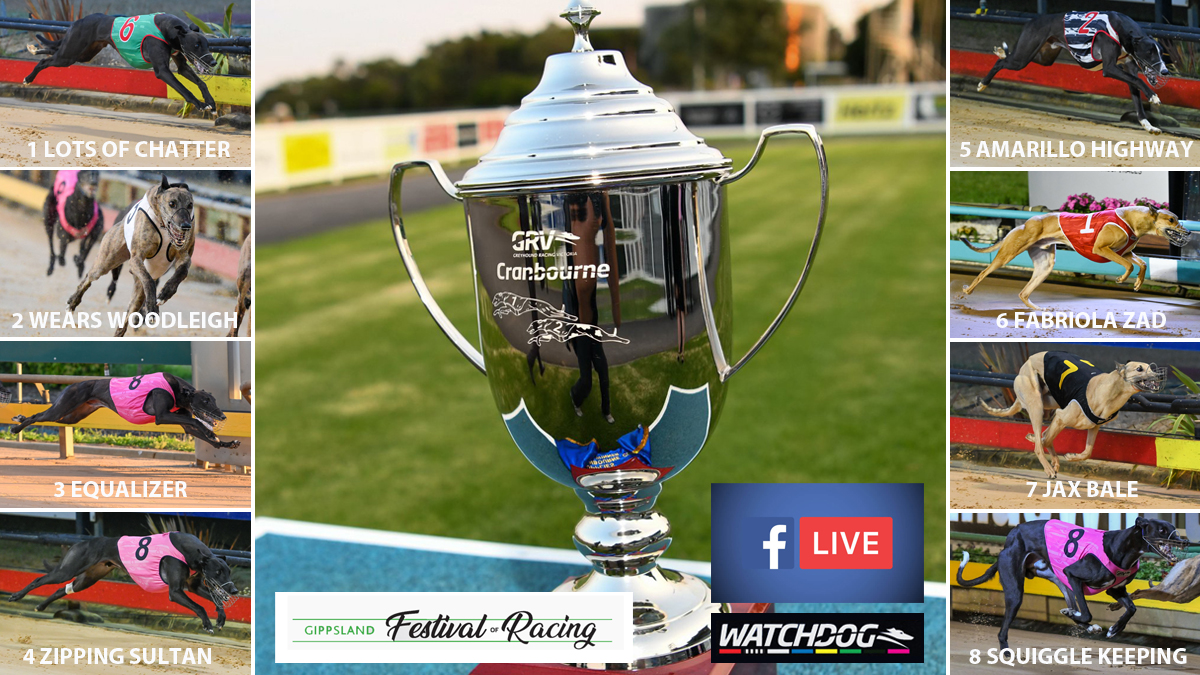 Local stars to feature prominently in Saturday night’s Cranbourne Cup Final