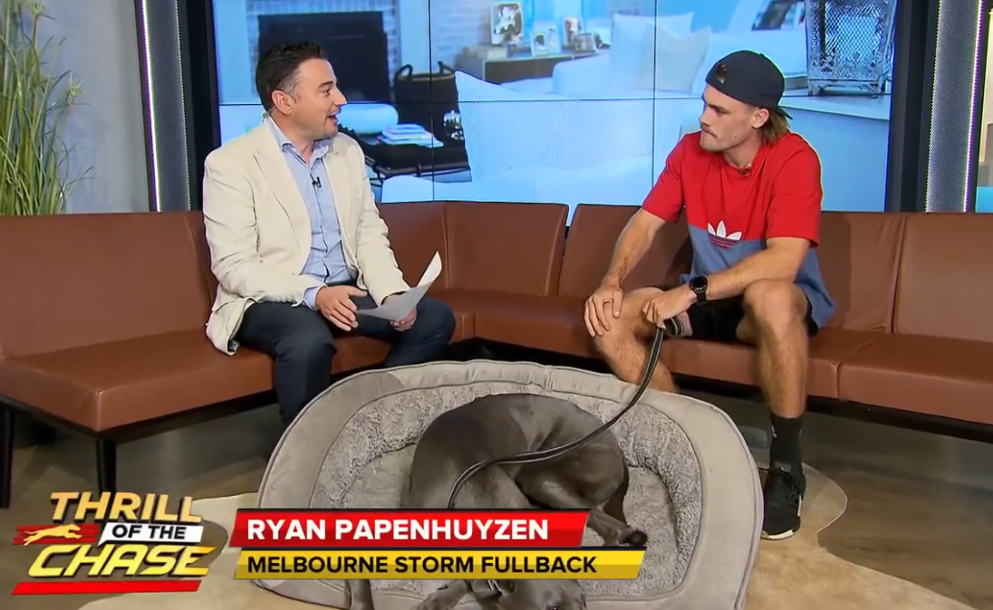 Ryan Papenhuyzen – Storm champion & greyhound lover