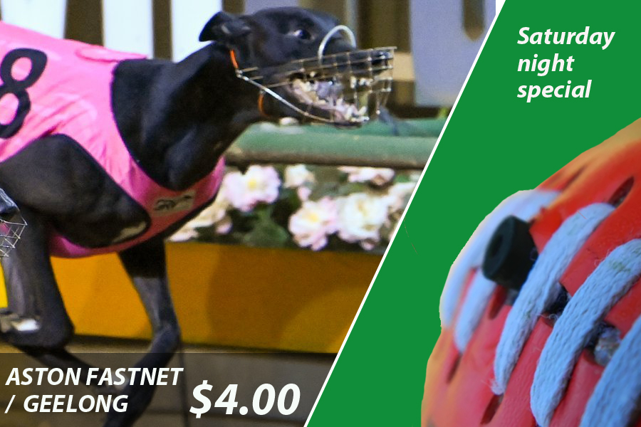 Cats & Fastnet at ‘full mast’?