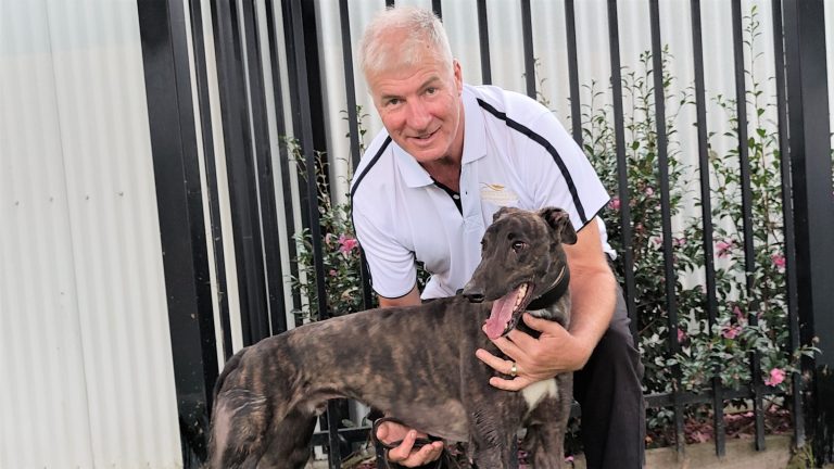 Geall eyes century of Sandown winners